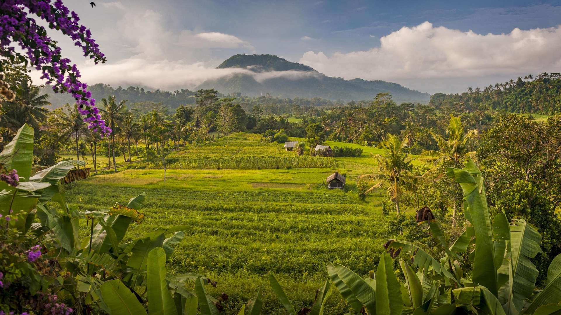 What To Do in Sidemen - Things To Do in Sidemen | Hideout